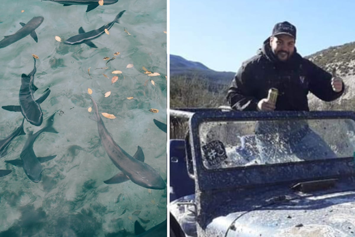 Missing man's family uses tattoos to identify remains inside shark