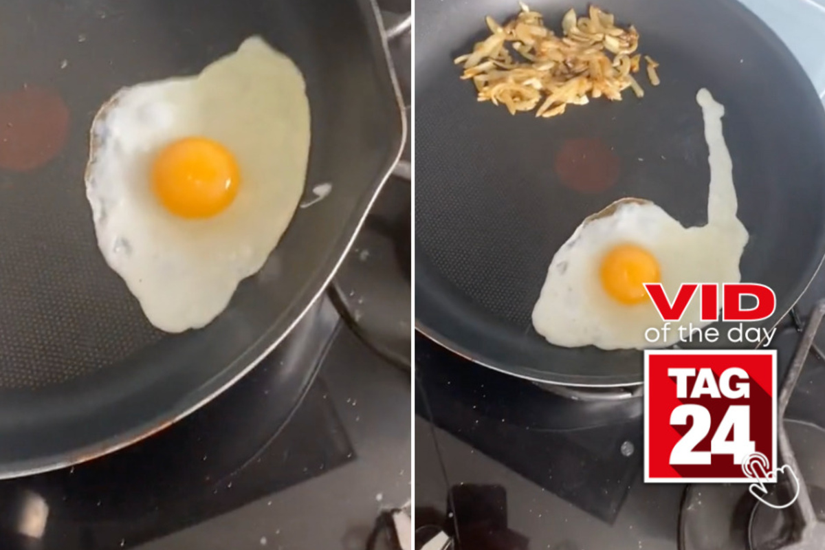 Viral Video of the Day for June 20, 2024: "Perfect" egg switches up in last-minute fail: "I'm ...