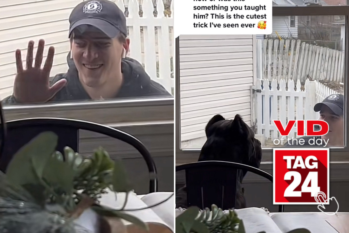 Viral Video of the Day for May 15, 2023: Man's peek-a-boo game with dog ...