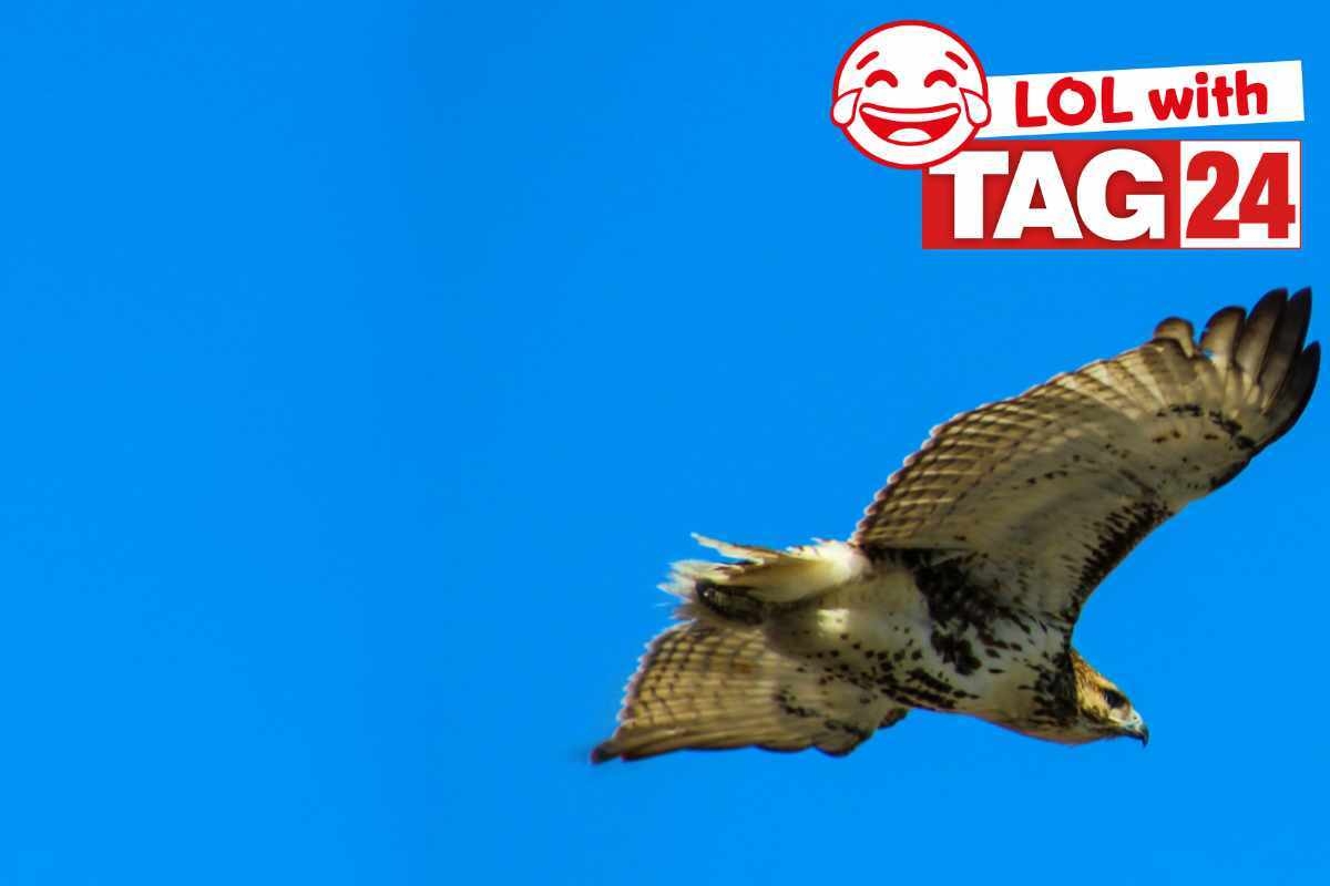 Joke of the Day for February 25, 2025: The best jokes to get your funny ...