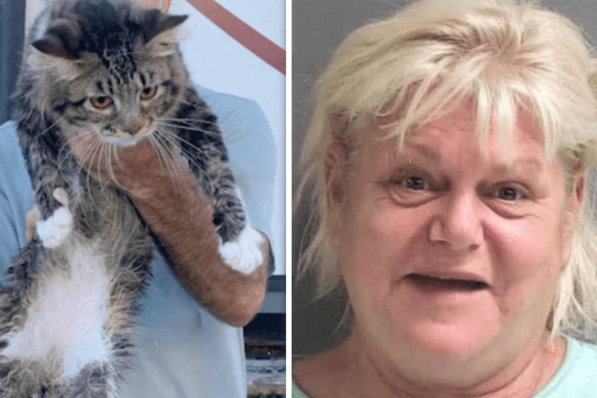 Florida woman arrested after threatening to kill her ex and chucking ...