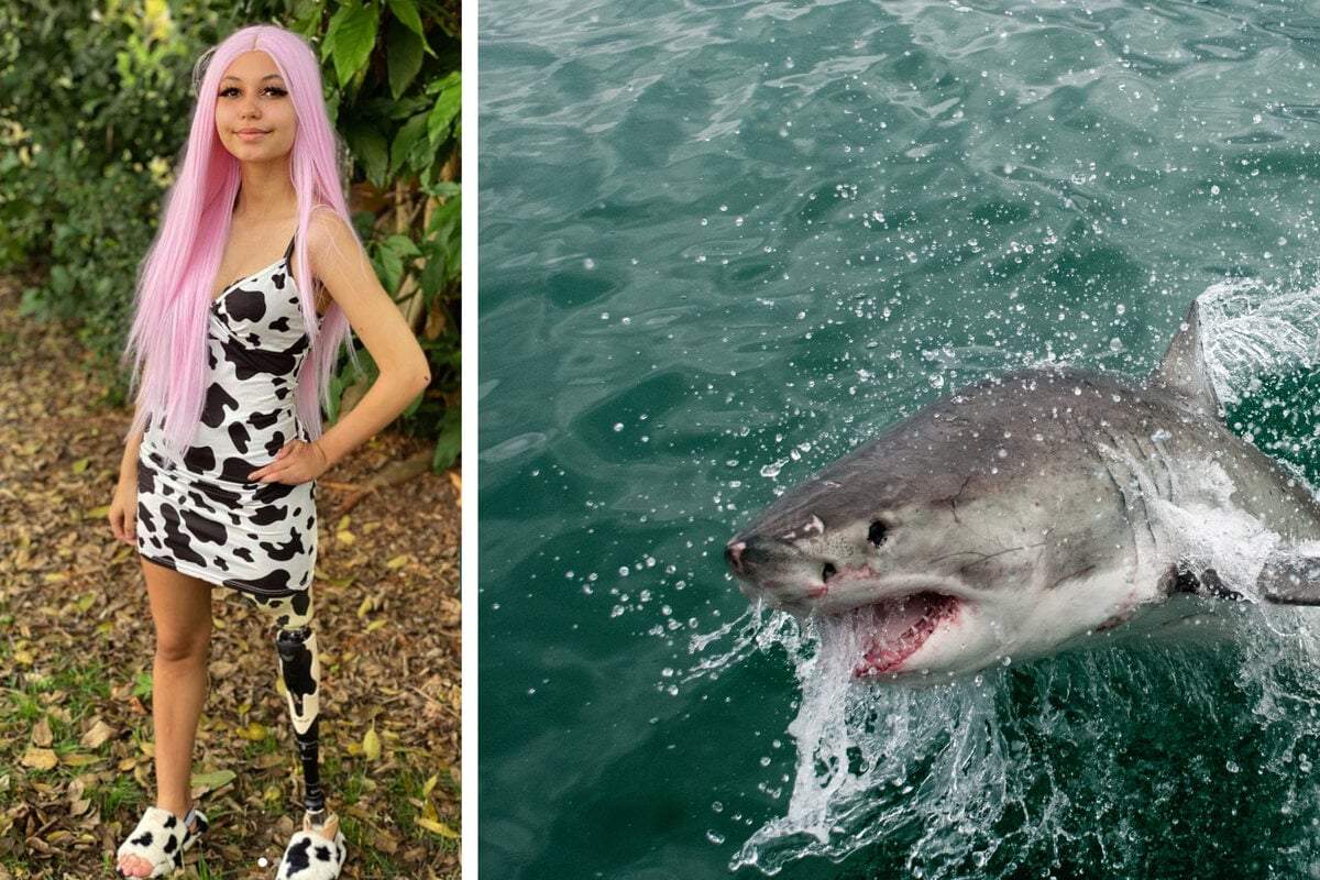 Man punches shark in the face to save his daughter's life