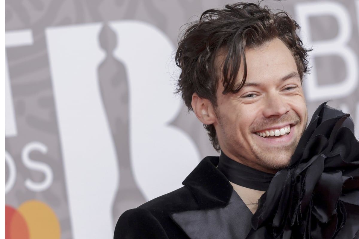 Harry Styles' brand "Pleasing" just launched a sex toy – plus a spicy ...