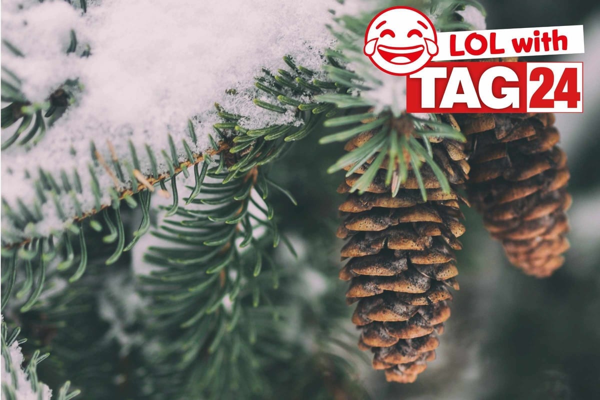 Joke of the Day for January 13, 2025: The best winter jokes to get your ...