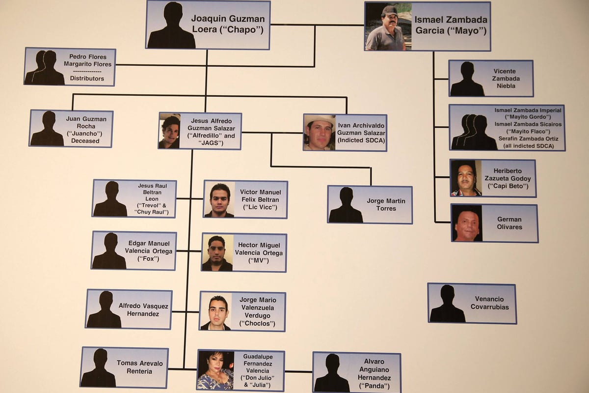 Wife of drug trafficker who helped bring down El Chapo sentenced to prison