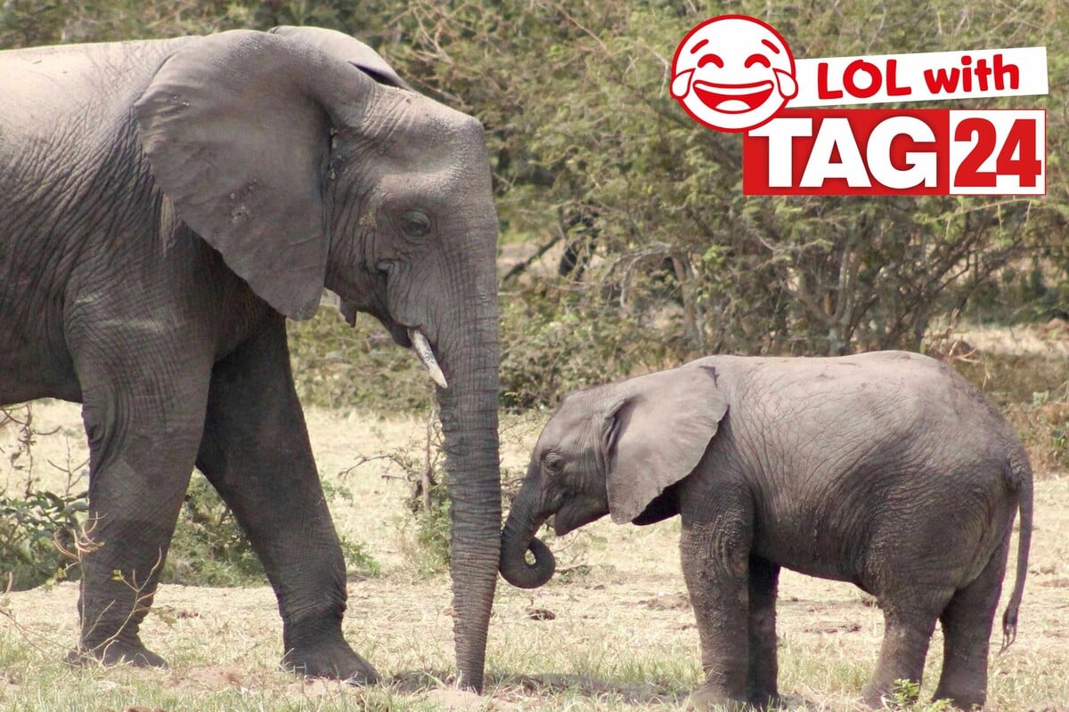 Joke of the Day for April 7, 2024: Get your funny on