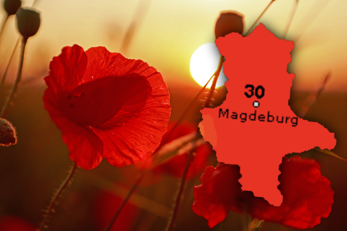 Wetter Magdeburg: Sachsen-Anhalt knackt diese Woche die 30-Grad-Marke!