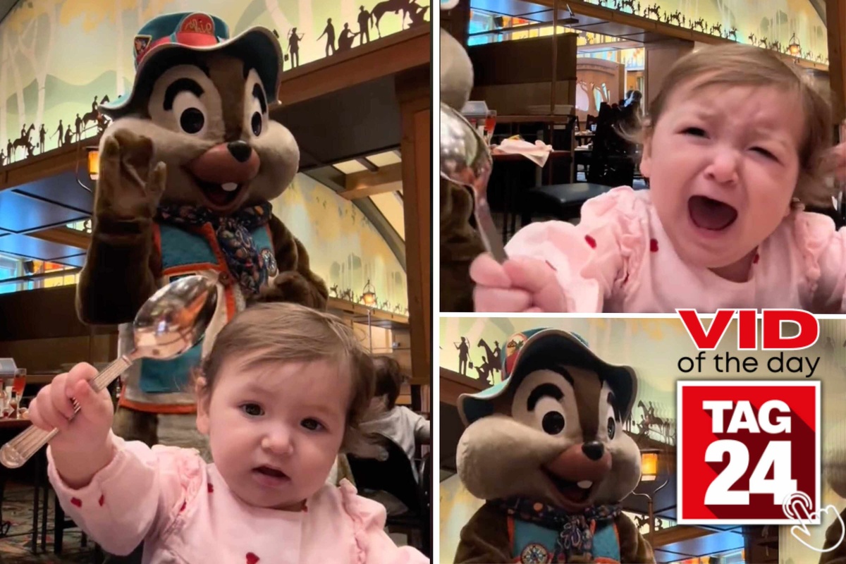 Viral Video of the Day for February 21, 2024: Toddler's Disney reaction ...