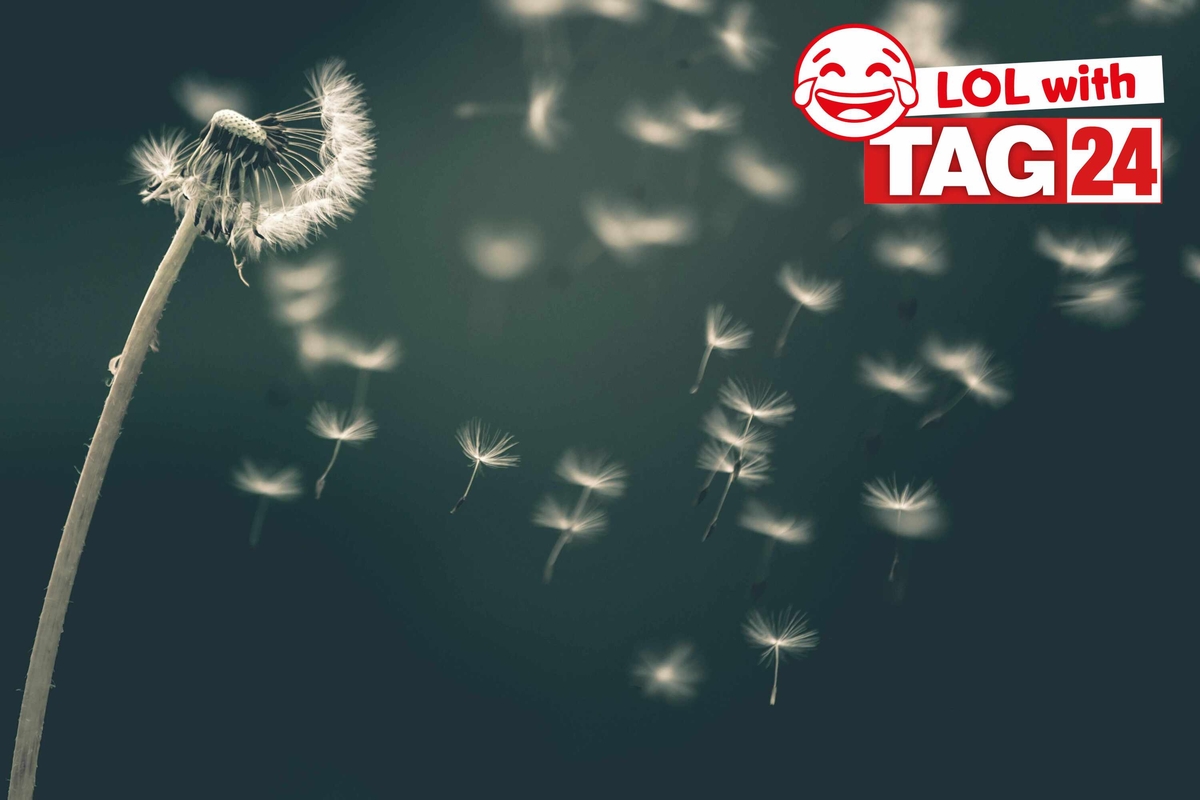 Joke of the Night for May 17, 2024: The best jokes to laugh the day away