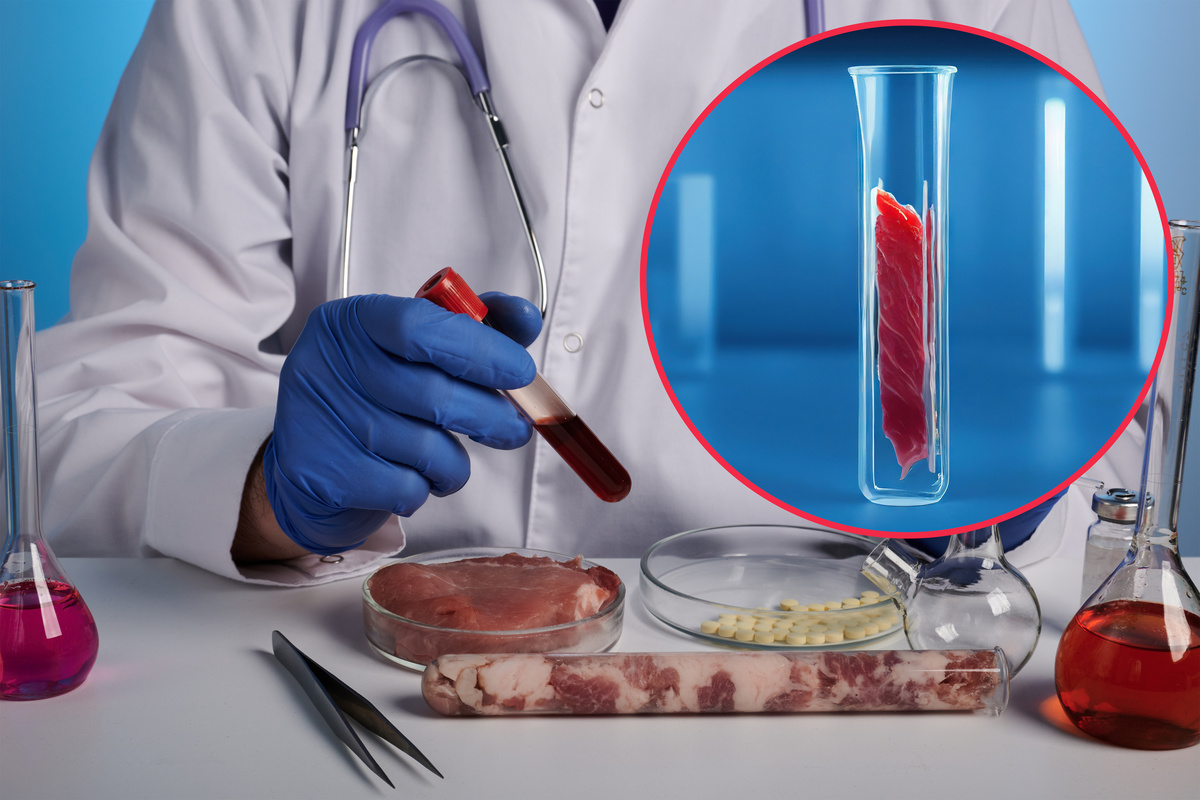 USDA approves sale of lab-grown meat – what is it, and what does it ...