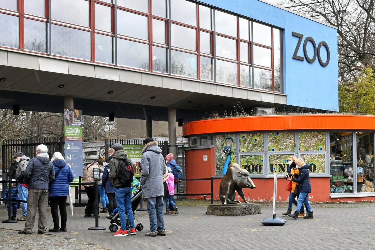 Dresden: Dresdner Zoo erhöht die Eintrittspreise
