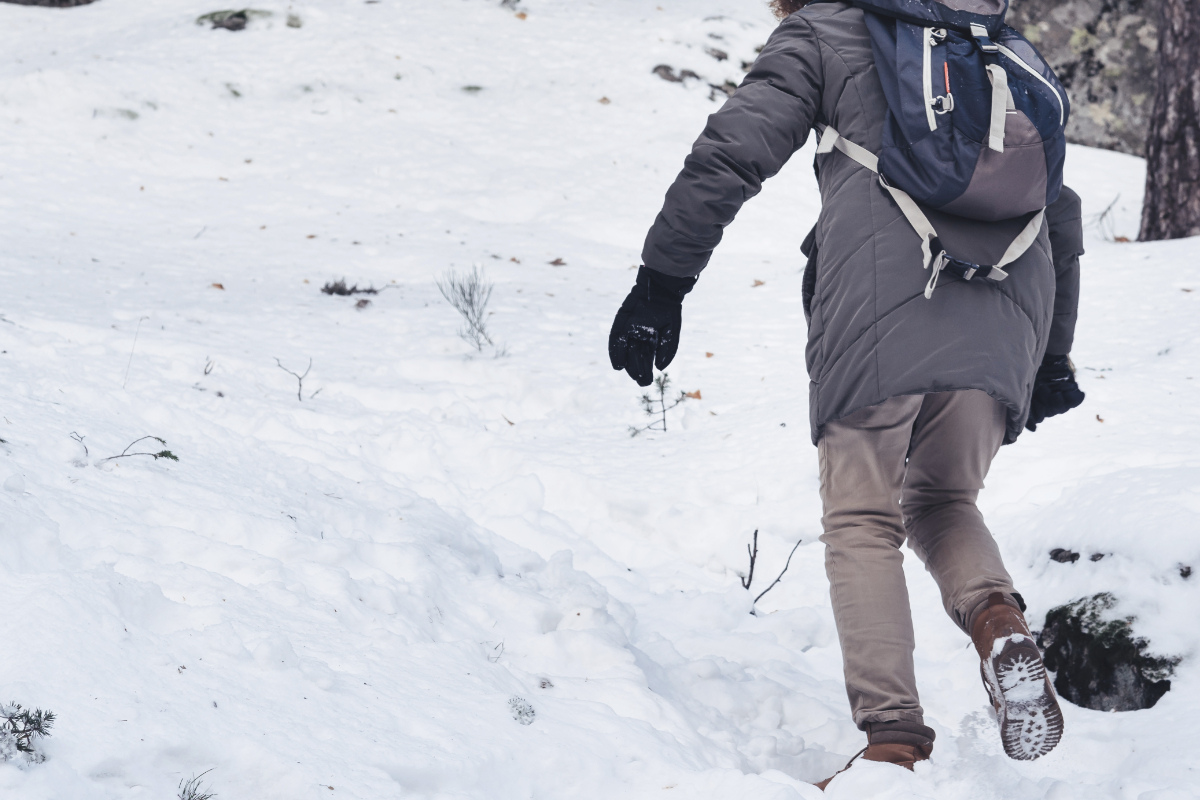 Hiker (18) gets lost in icy mountain landscape: what he ate to survive ...
