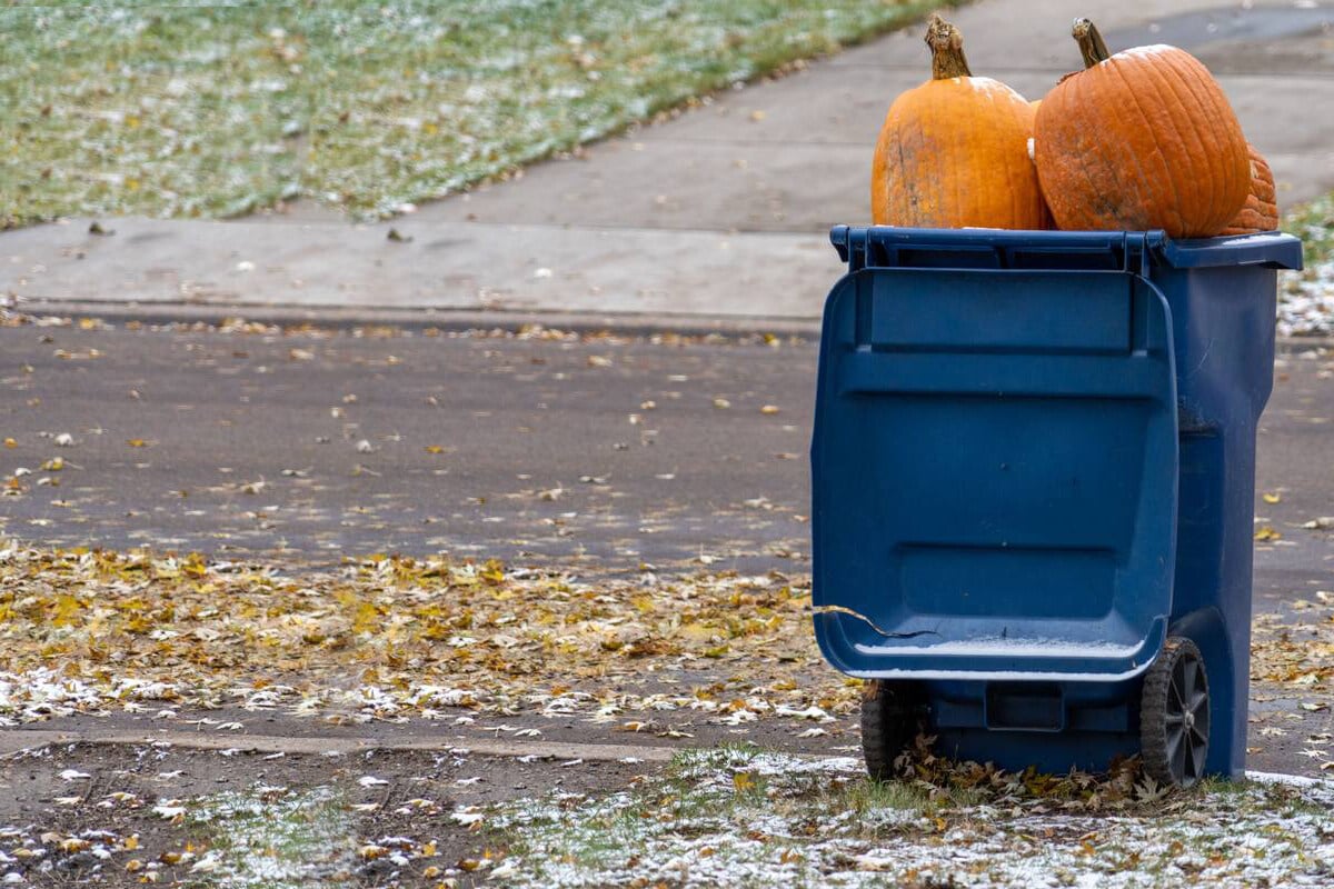 Here's what to do with Halloween pumpkins instead of throwing them out!