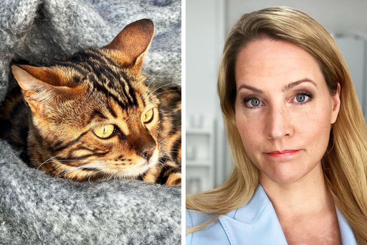 Vom Nachbarshund totgebissen - Judith Rakers trauert um Katze