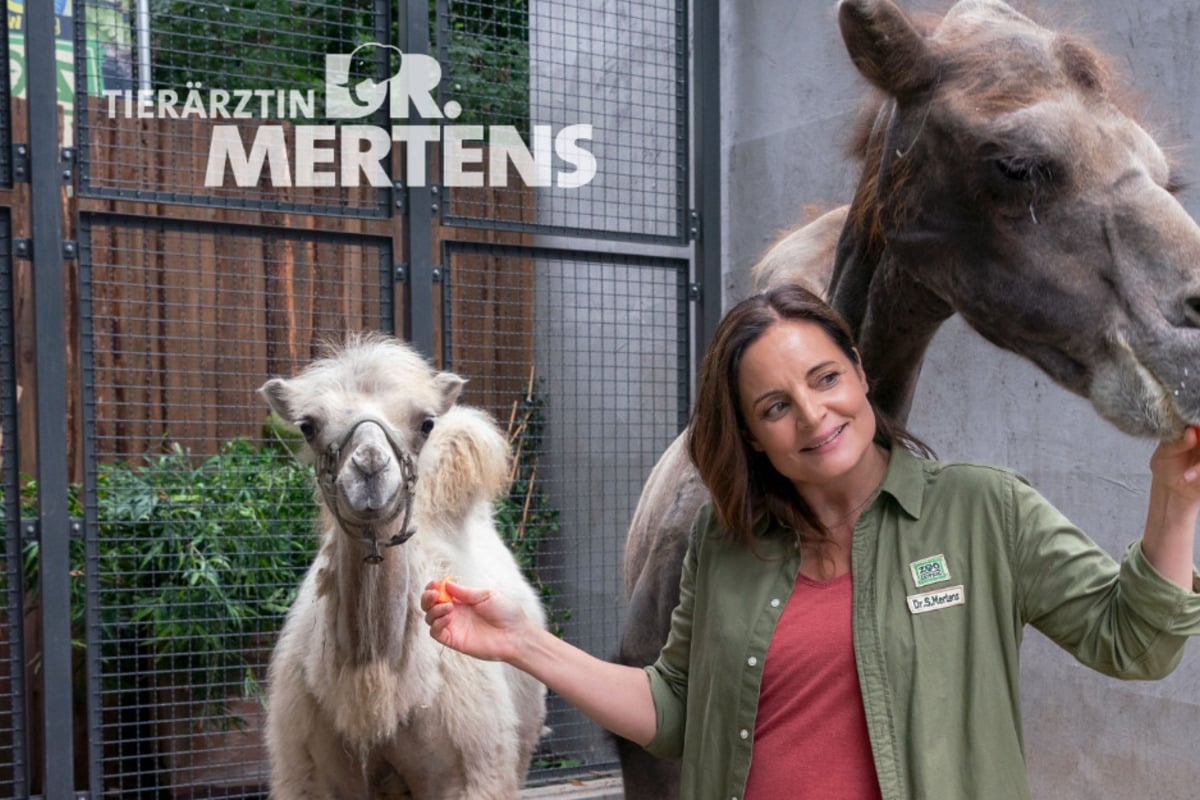 Tierarztin Dr Mertens Boses Erwachen