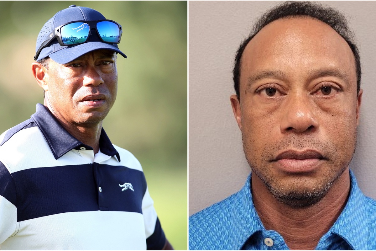 Tiger Woods' DUI mugshot released after shocking Florida car crash ...
