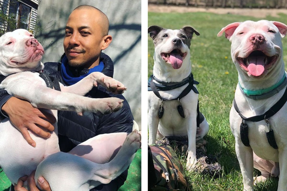 Family finds out their rescue dog has a healing superpower!