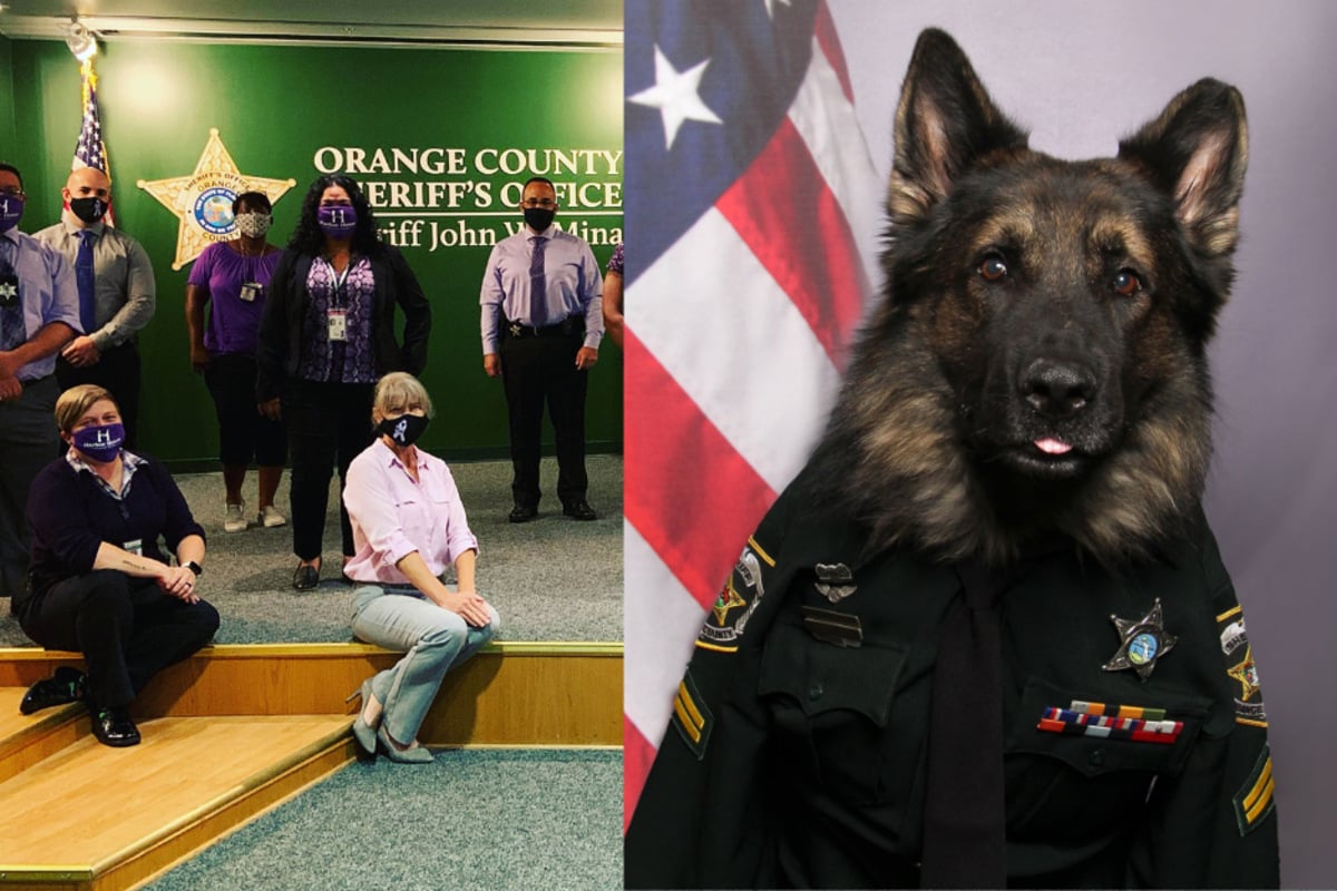 This dog is the best dressed police officer on the force!