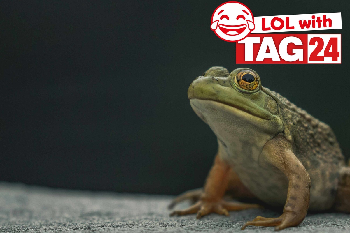 Joke of the Night for April 4, 2024: The best jokes to laugh the day away