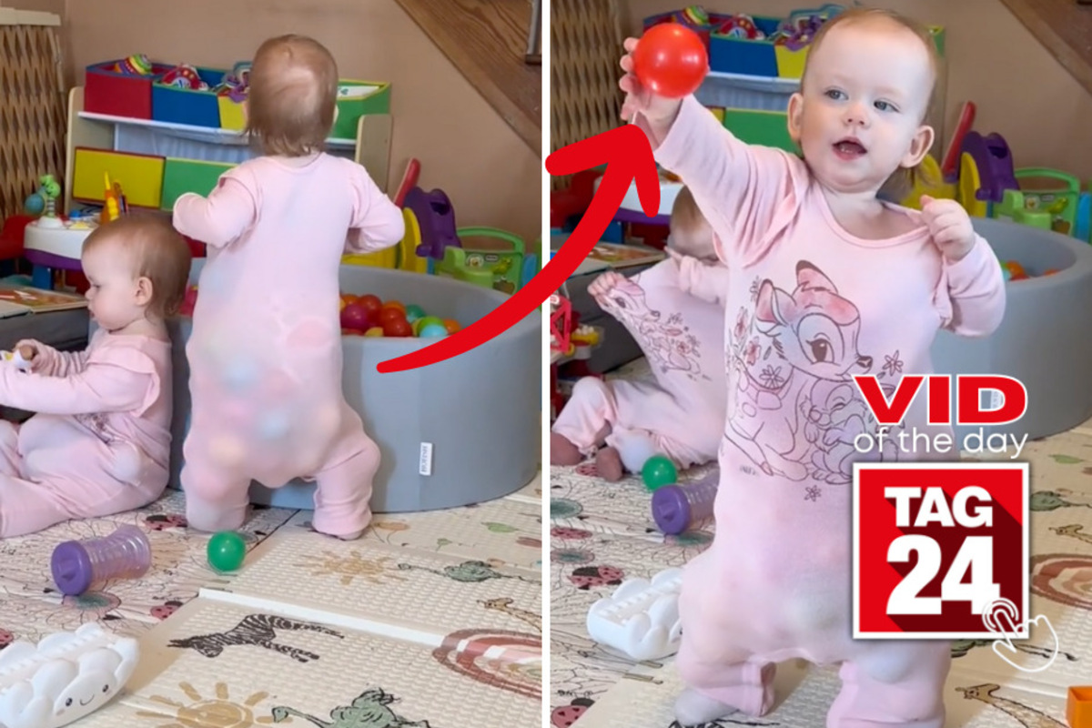 Viral Video of the Day for December 7, 2023 - Ball-pit bandit toddler ...
