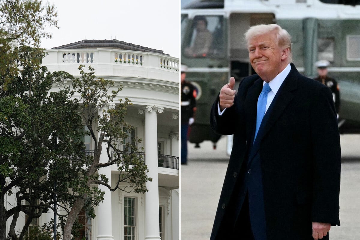 Trump plants "MAGA-nolia" tree to replace 200-year-old White House Magnolia