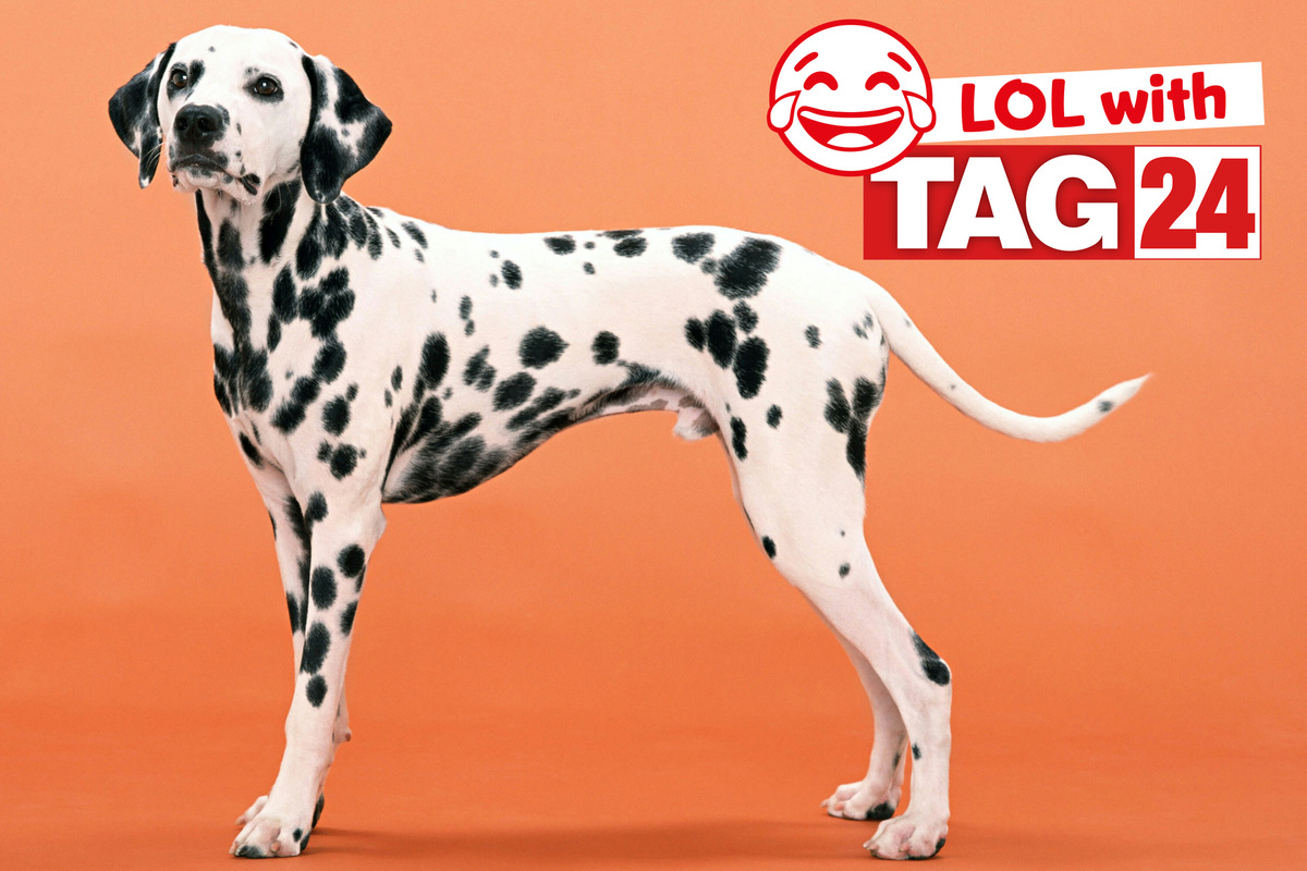 Joke of the Night for April 22, 2024: The best jokes to laugh the day away