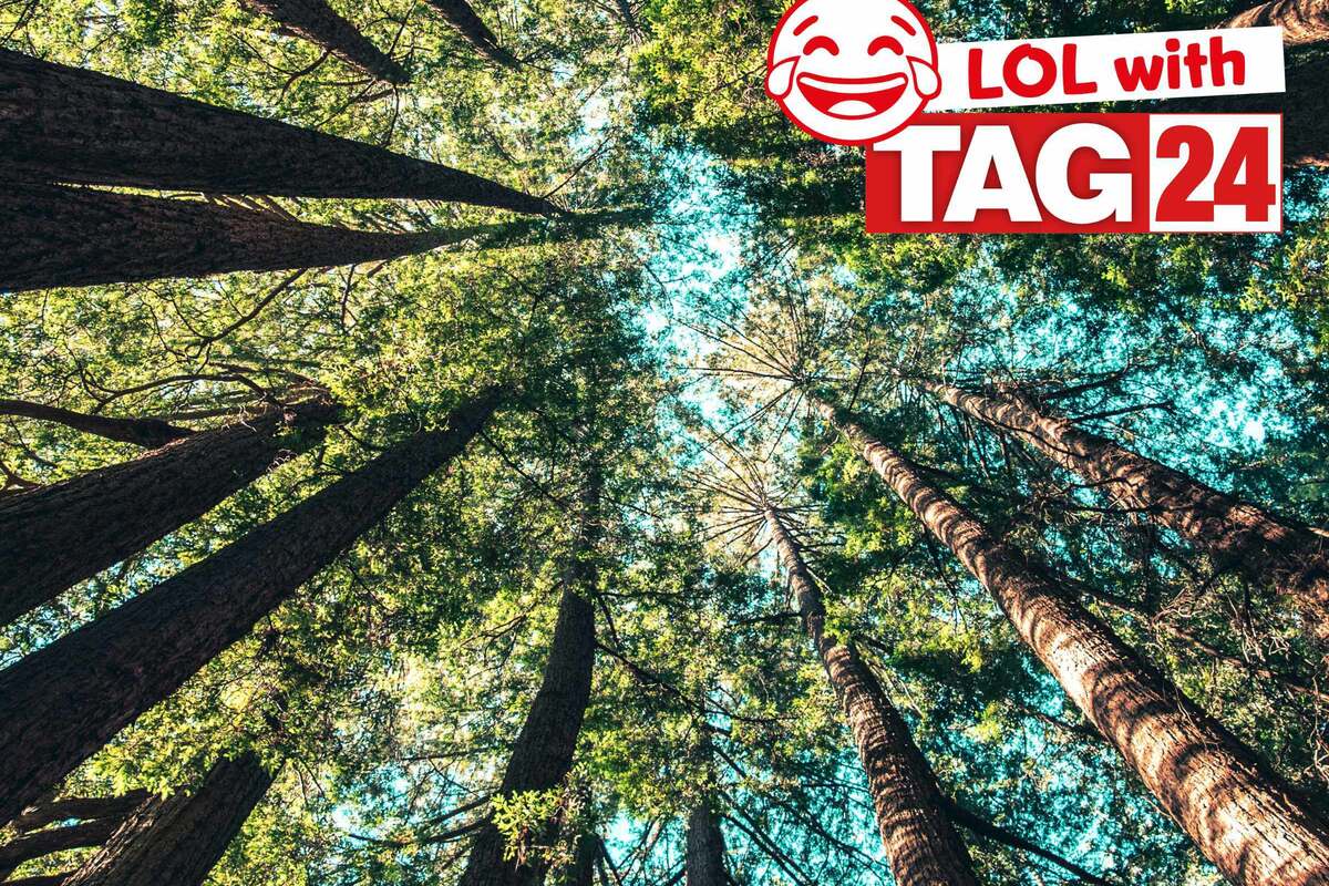 Joke of the Night for April 22, 2025: A silly joke for Earth Day