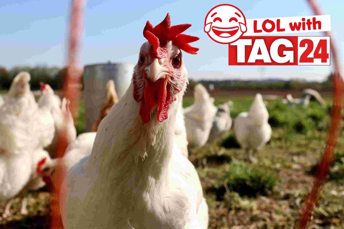 Joke of the Night for April 16, 2024: The best jokes to laugh the day away