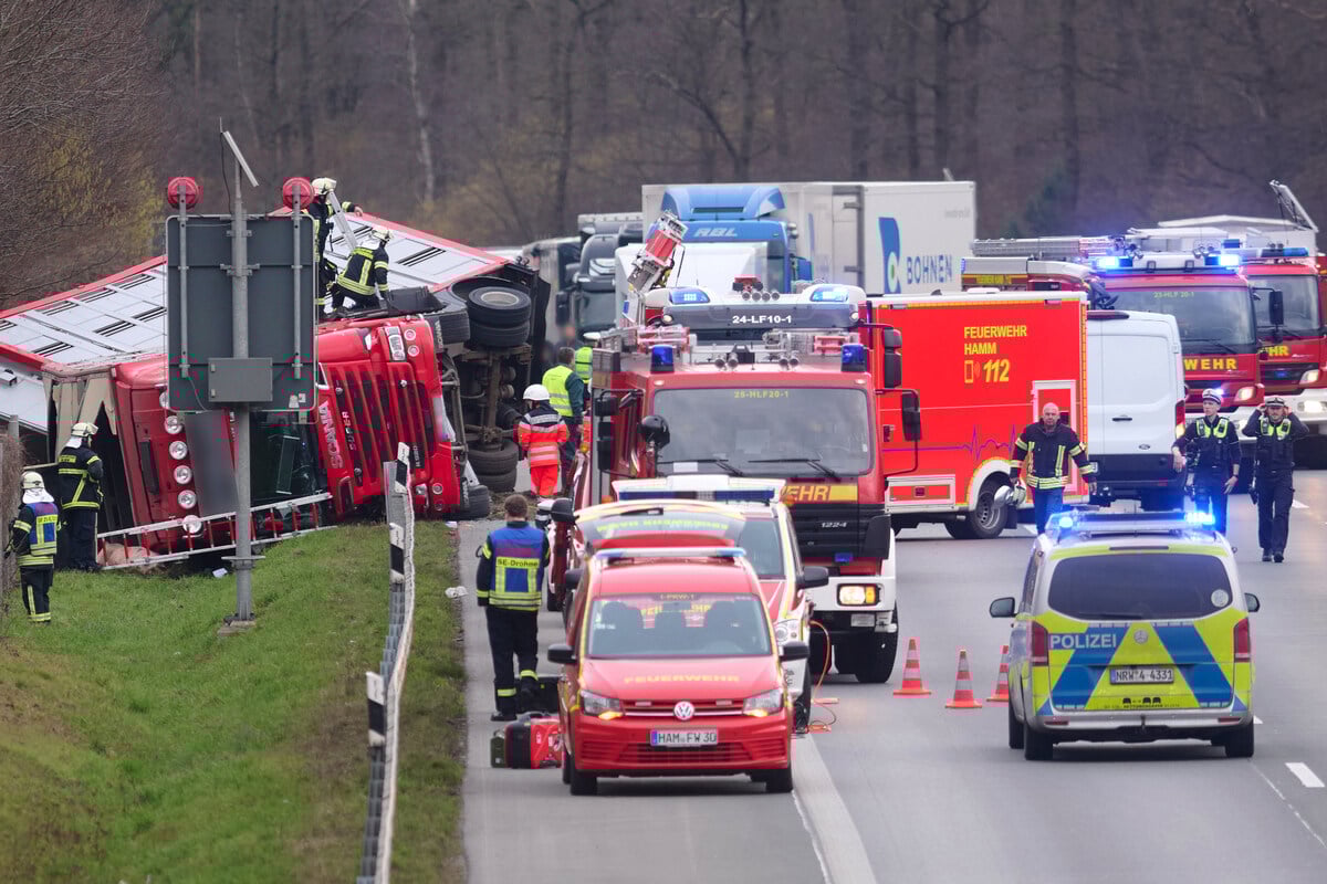 Vollsperrung auf A2: Schweinetransporter kippt um: Tiere laufen umher