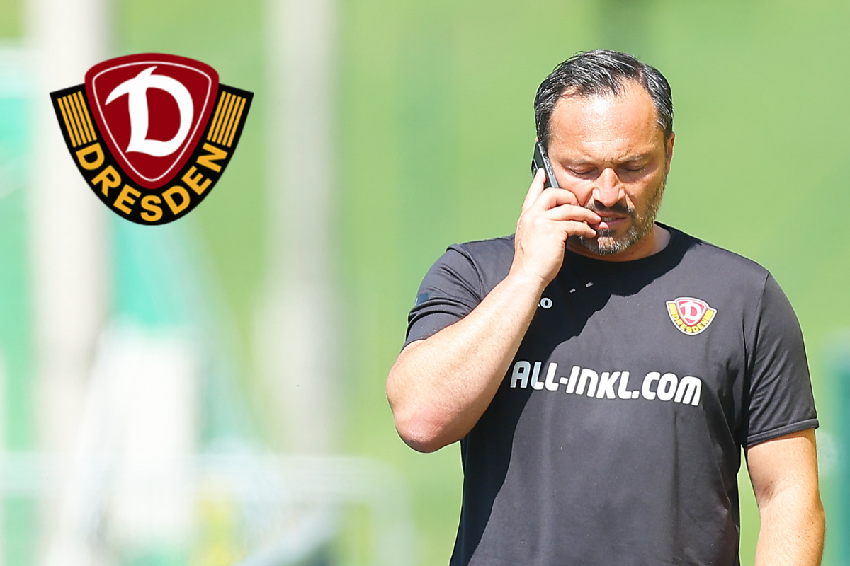 Dynamo Dresden: Deadline Day ohne Erfolg: Holt SGD-Sportboss Brendel jetzt vertragslose Spieler?