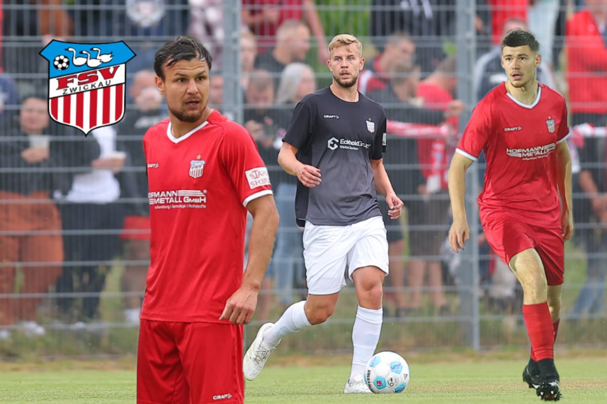 Andrey Startsev, Max Somnitz, Sonny Ziemer: Kapitänsfrage beim FSV Zwickau entschieden