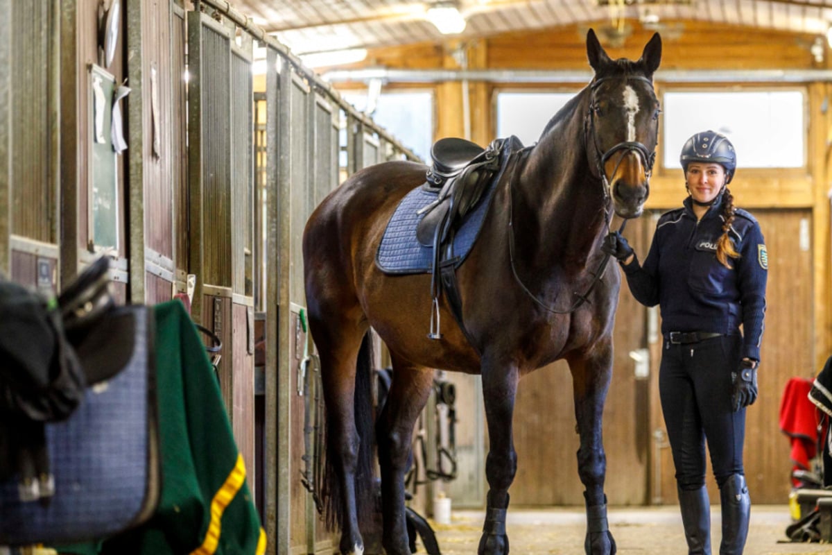 Auf dem Rücken der Pferde für mehr Sicherheit in Sachsen: Die ...