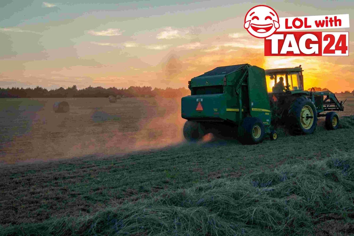 Joke of the Day for May 29, 2024: Get your funny on