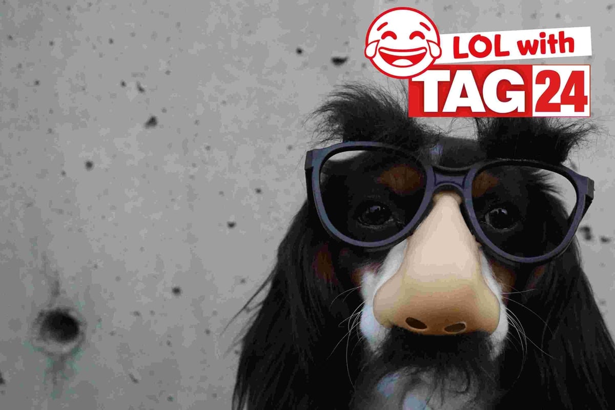 Joke of the Night for April 15, 2024: The best jokes to laugh the day away