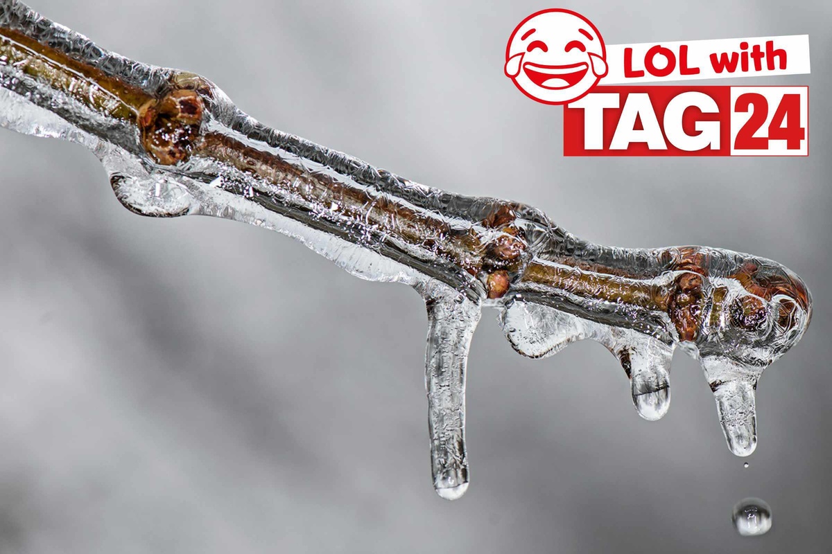 Joke of the Night for January 10, 2025: The best winter jokes to laugh ...