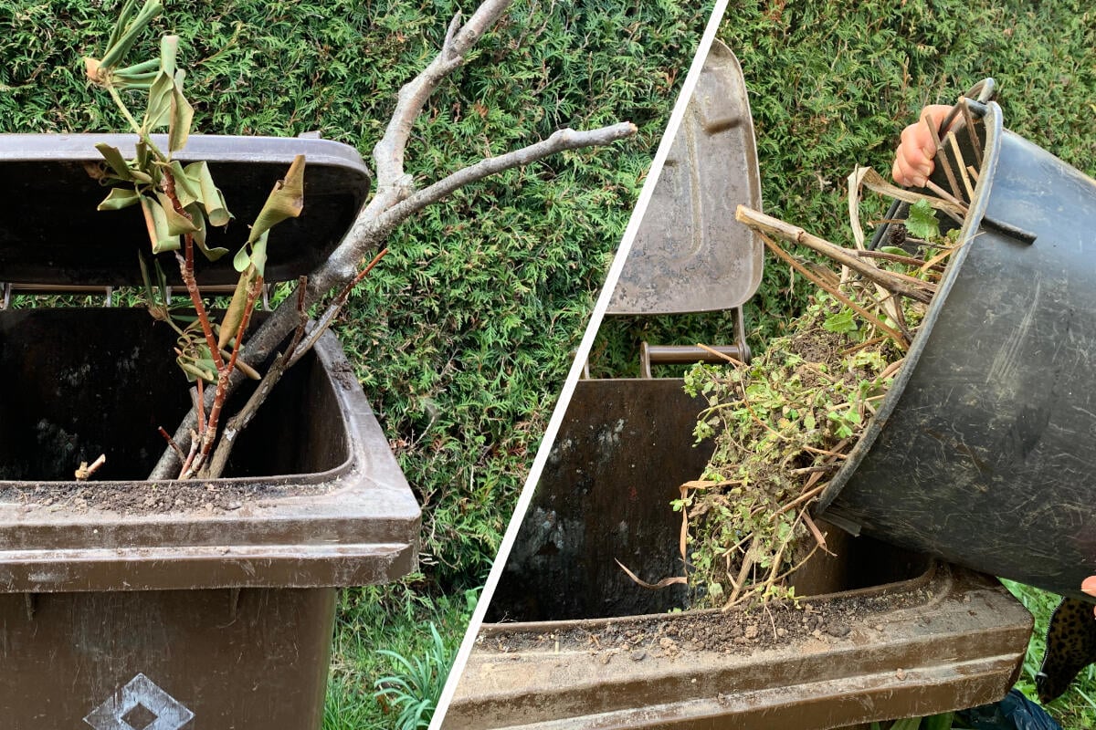 Chemnitz: So entsorgt Ihr Gartenabfälle und Co. richtig