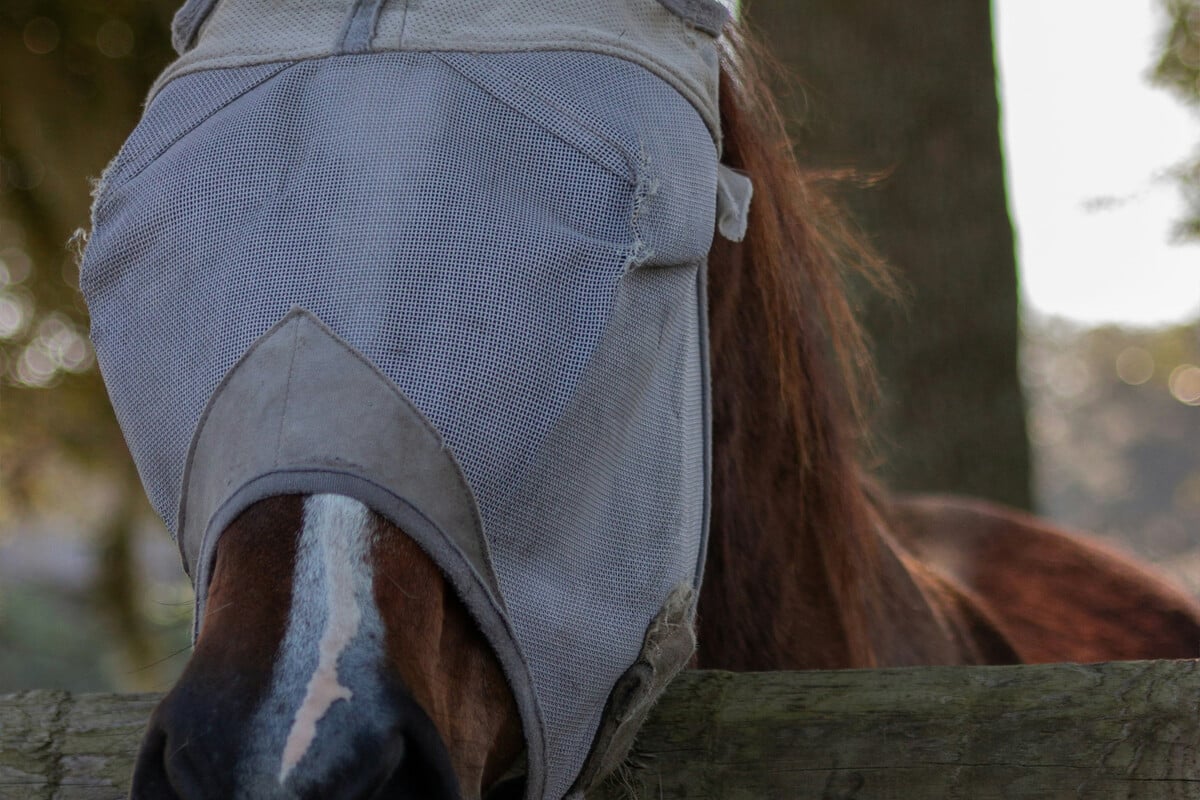 Fun Fact of the Day for May 19, 2024: Discover surprising trivia!