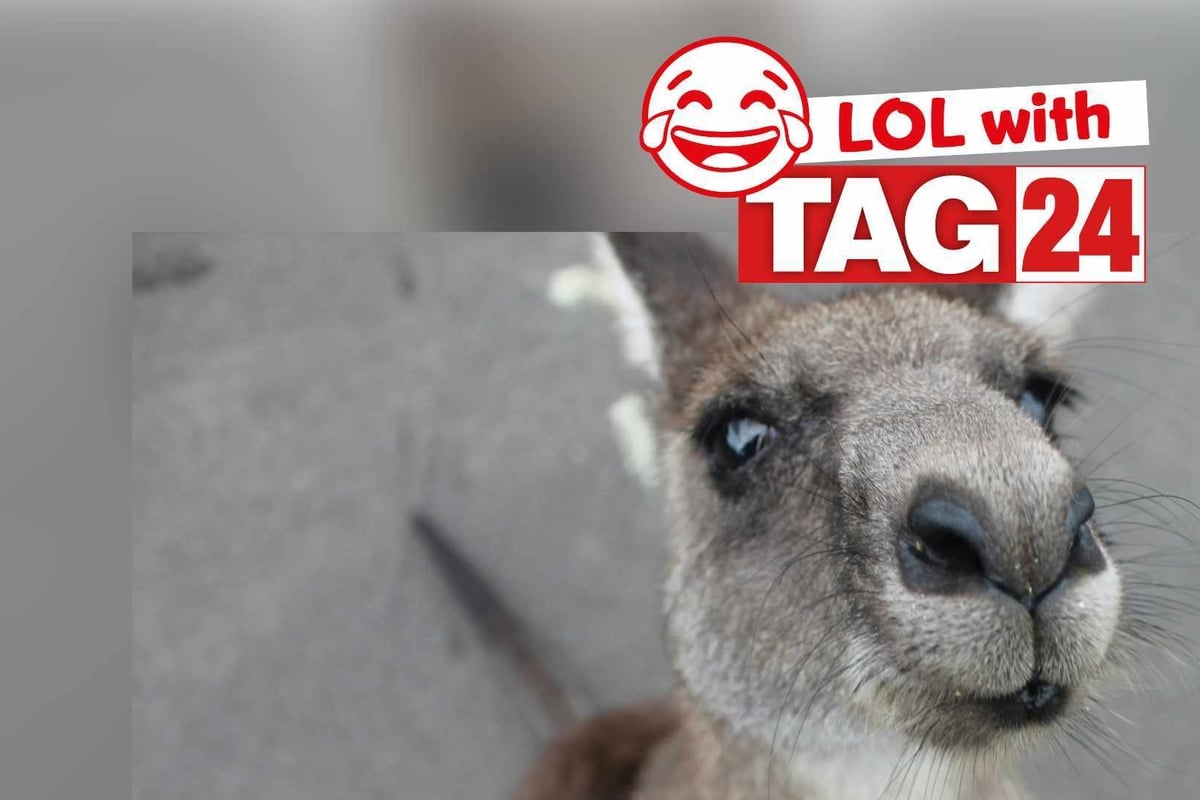 Joke of the Night for December 30, 2024: The best jokes to laugh the ...