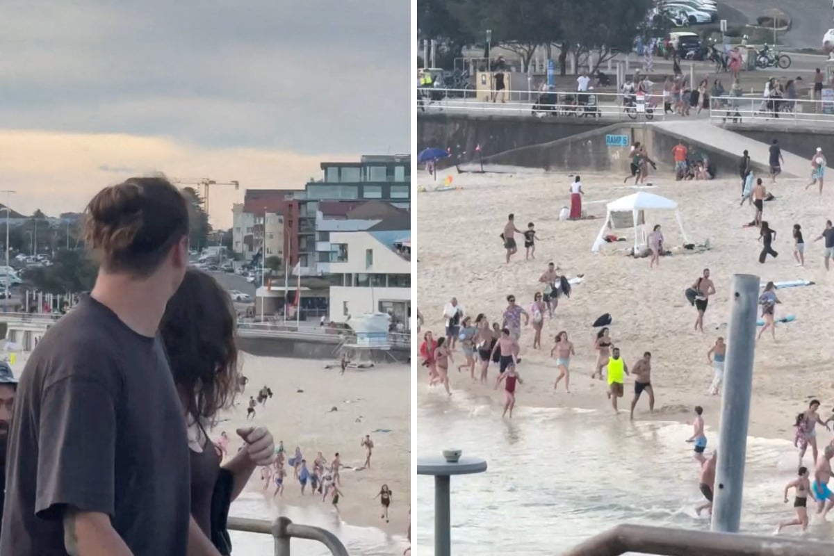 "Terrified" Sydney man falsely labeled as Bondi Beach shooter pleads ...