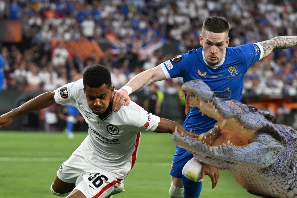 Nichts für schwache Nerven: Ex-Freiburger Ryan Kent sucht Krokodil-Sitter!