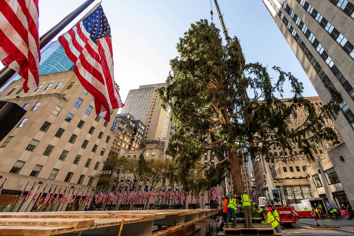This year's Rockefeller Center Christmas tree sums up 2020 perfectly