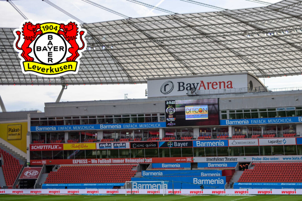 Bayer Leverkusen träumt groß: Ausbau der BayArena soll offenbar geprüft ...
