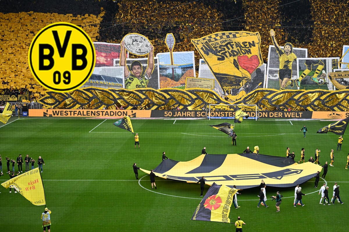 BVB feiert "beste Choreo der Bundesliga-Geschichte", aber verliert ...