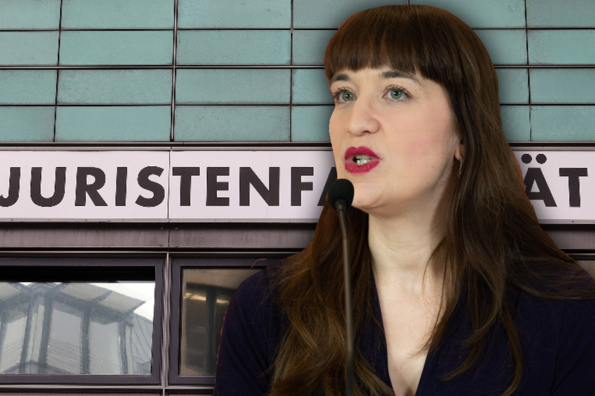 Leipziger Jura-Professor Tim Drygala von Heidi Reichinnek angezeigt ...