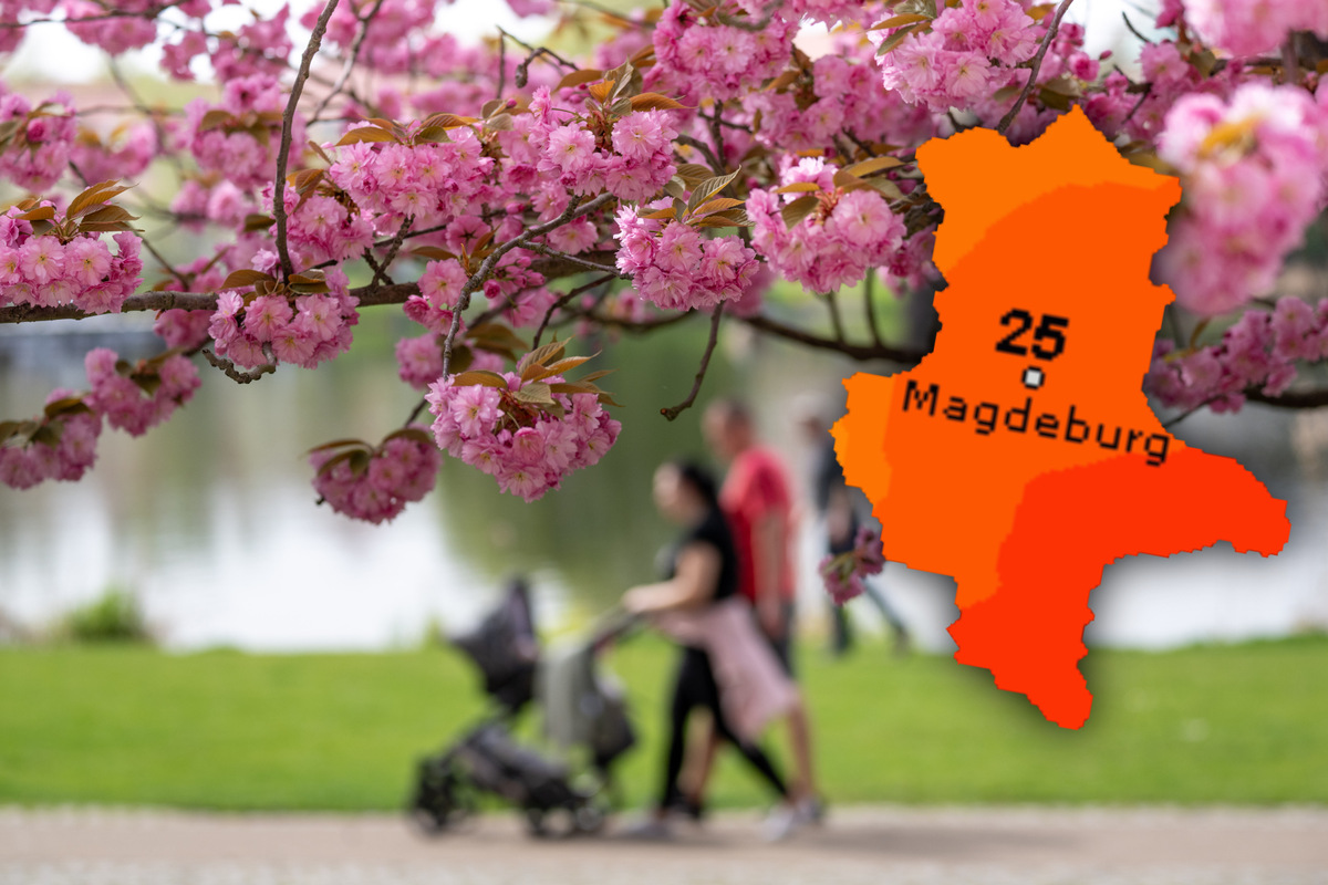Sachsen-Anhalt kratzt beim Wetter an der 30-Grad-Marke, doch dann kommt ...