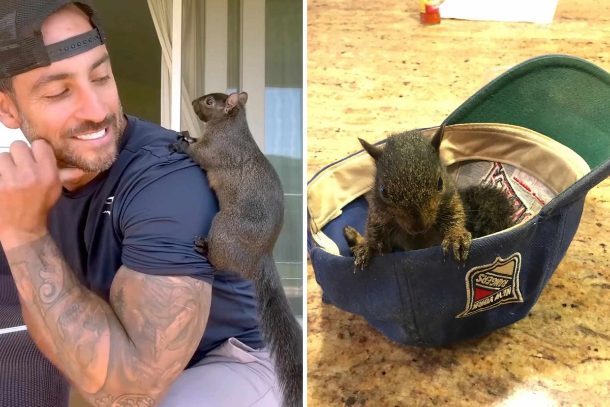 Peanut the squirrel's owner says he was treated like "a terrorist ...
