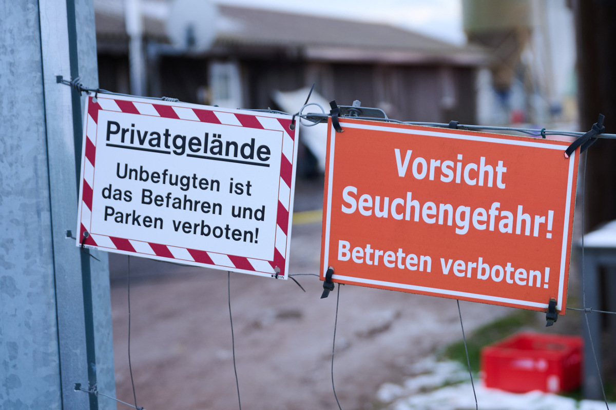 Ansteckender Virus im Umlauf: Darauf müssen Leipzigs Tierhalter jetzt ...