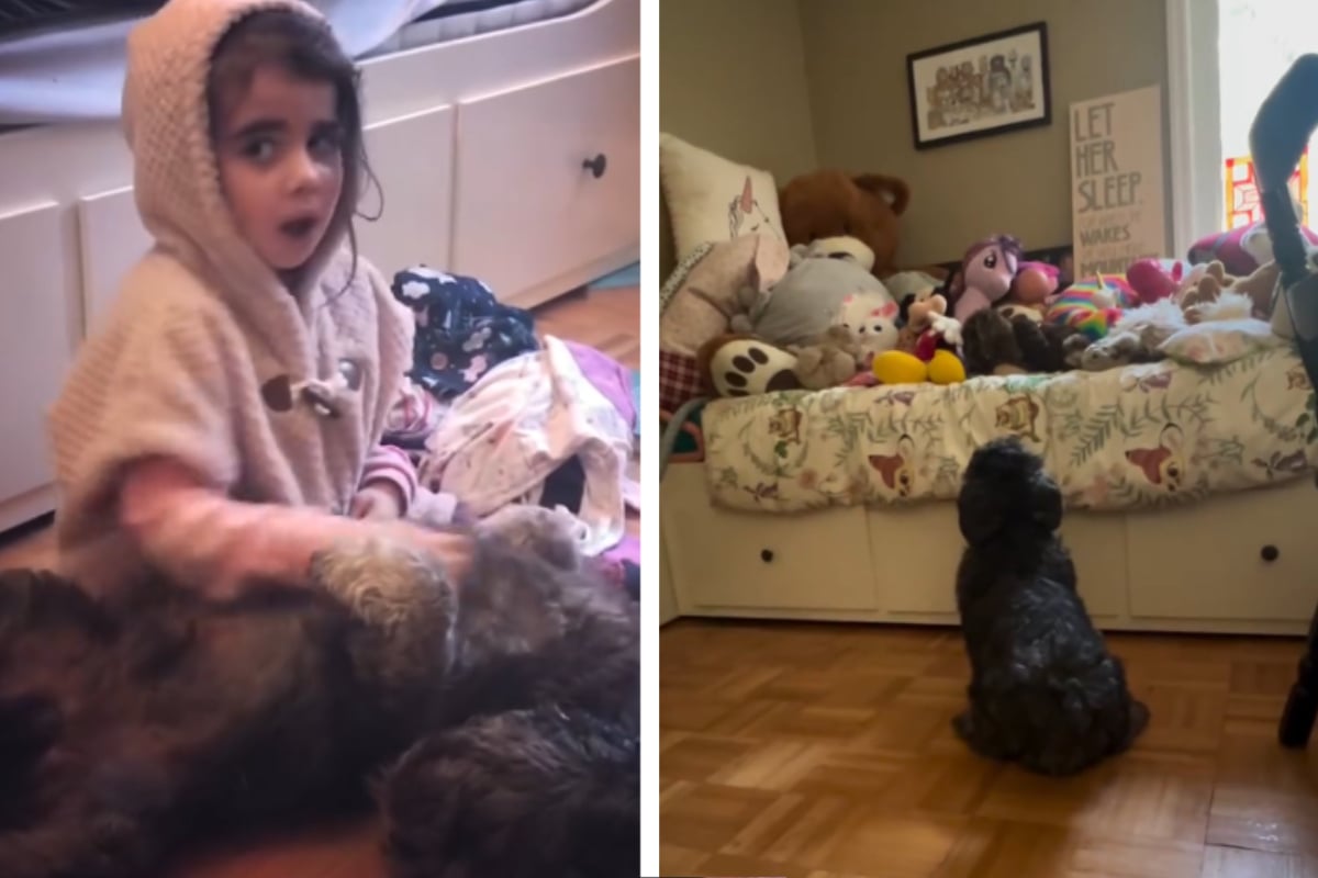 Dog mourns little girl years after her death in heartbreaking video ...