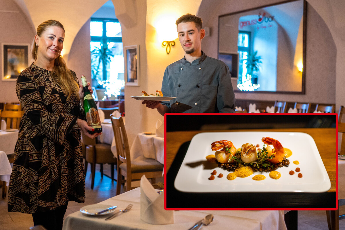 Dresden: Lecker, lecker! Endlich wieder Kochsternstunden genießen