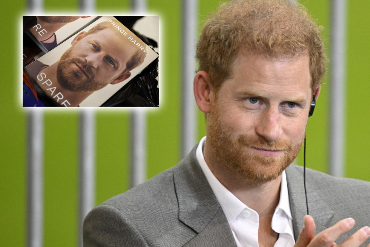 Jetzt bekommt er sein Fett weg: Parodie auf Prinz Harrys Buch Jetzt bekommt er sein Fett weg: Parodie auf Prinz Harrys Buch